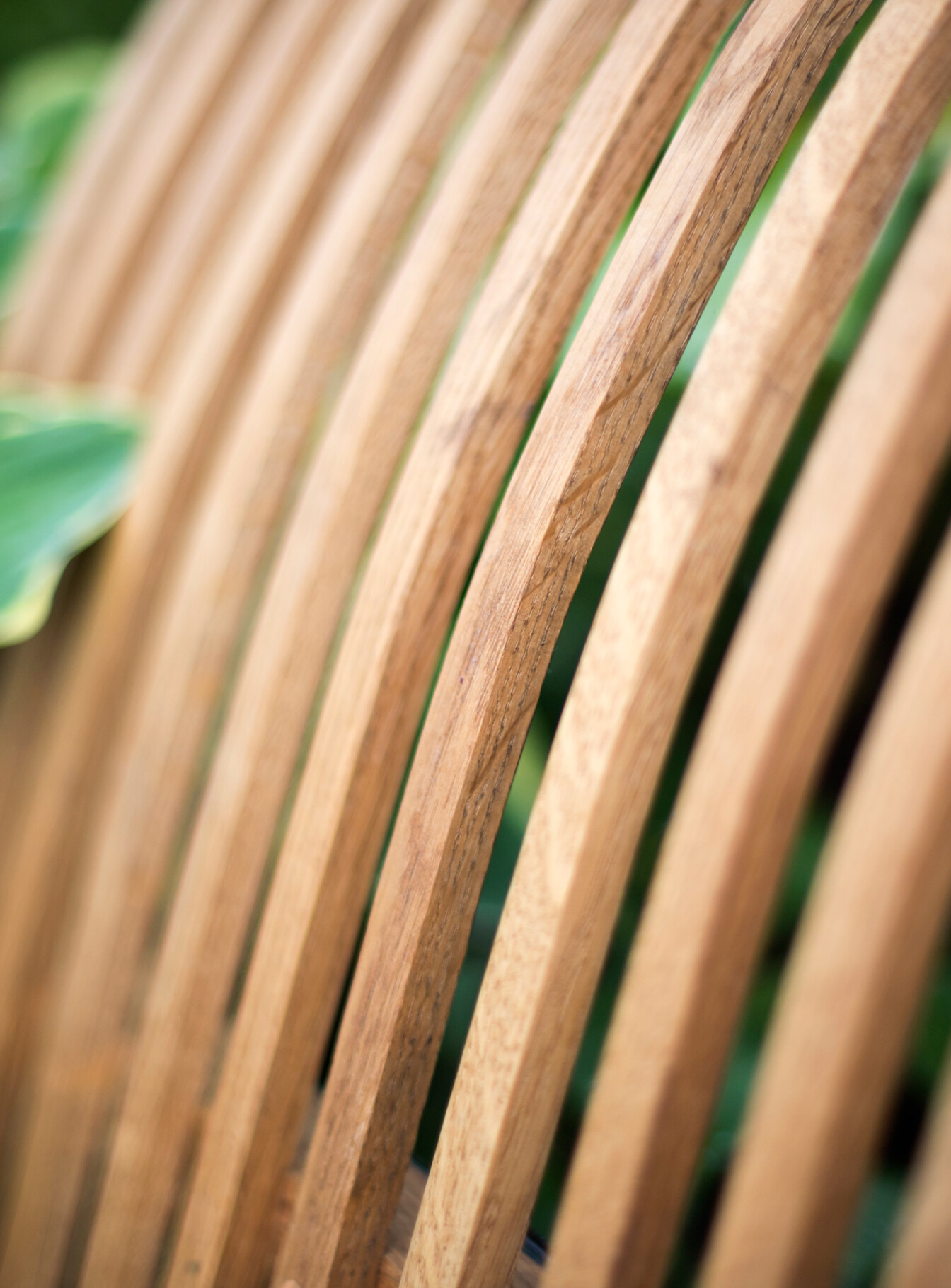 Matthew Childs | Award Winning Garden Designer | Landscape Design